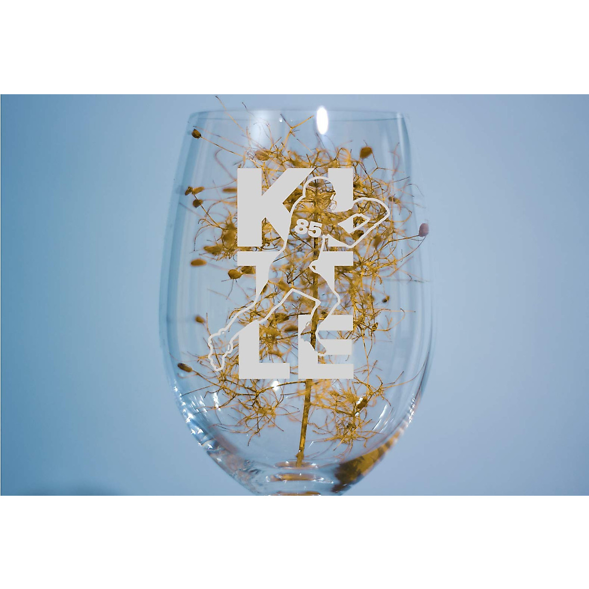 Hat Shark Football Sports Athletic Player - Laser Engraved Stemless Wine Glasses (Kittle #85)