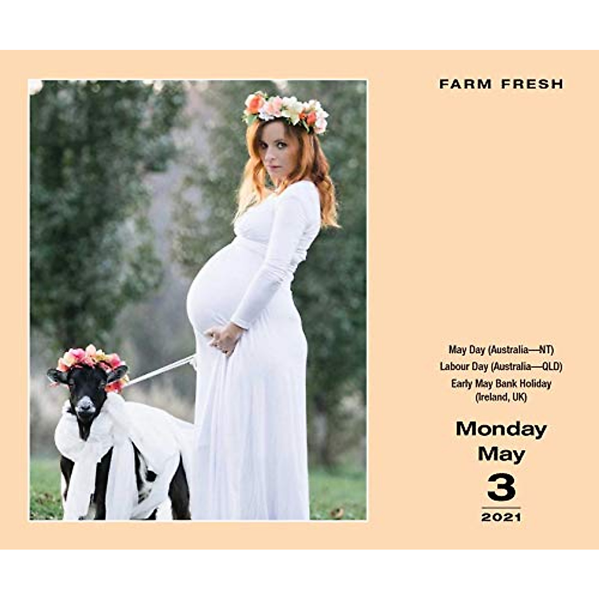 Awkward Family Photos 2021 Day-to-Day Calendar