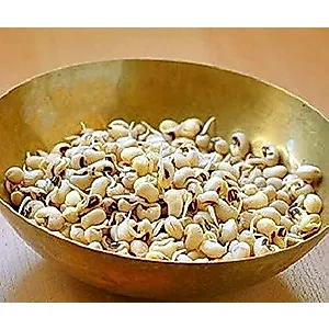 Black Eyed Pea Sprouting Seed, Non GMO - 14oz - Country Creek Brand - Black Eyed Peas Sprouts, Garden Planting, Cooking, Soup, Emergency Food Storage, Vegetable Gardening, Juicing, Cover Crop