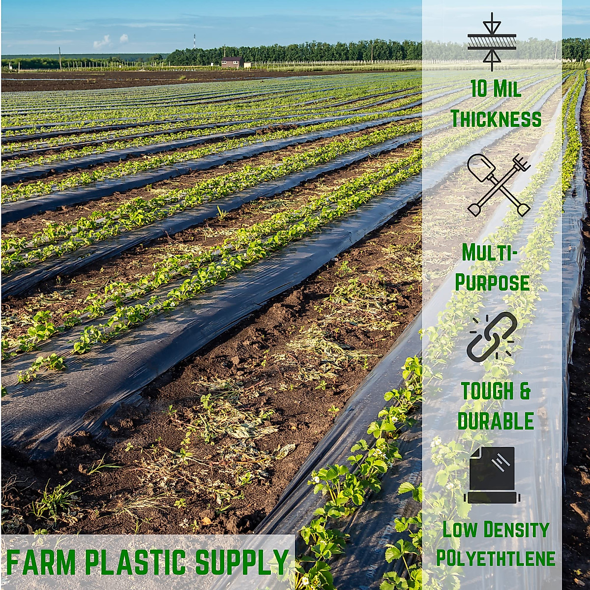 Farm Plastic Supply - Black Plastic Sheeting - 10 mil - (5' x 100') - Black Plastic Tarp, Polyethylene Vapor Barrier Plastic Sheeting, Black Painters Tarp, Roll of Heavy Duty Plastic