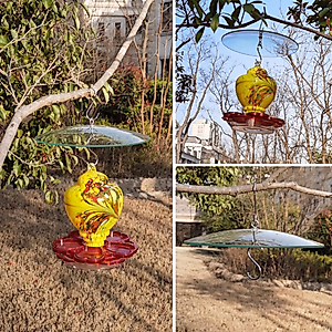 10" Glass Rain Cover for Wild Bird Feeder Outdoors - Weather Guard S Hook Hanging - Protective Dome Baffle - Clear (Dia. 25CM)