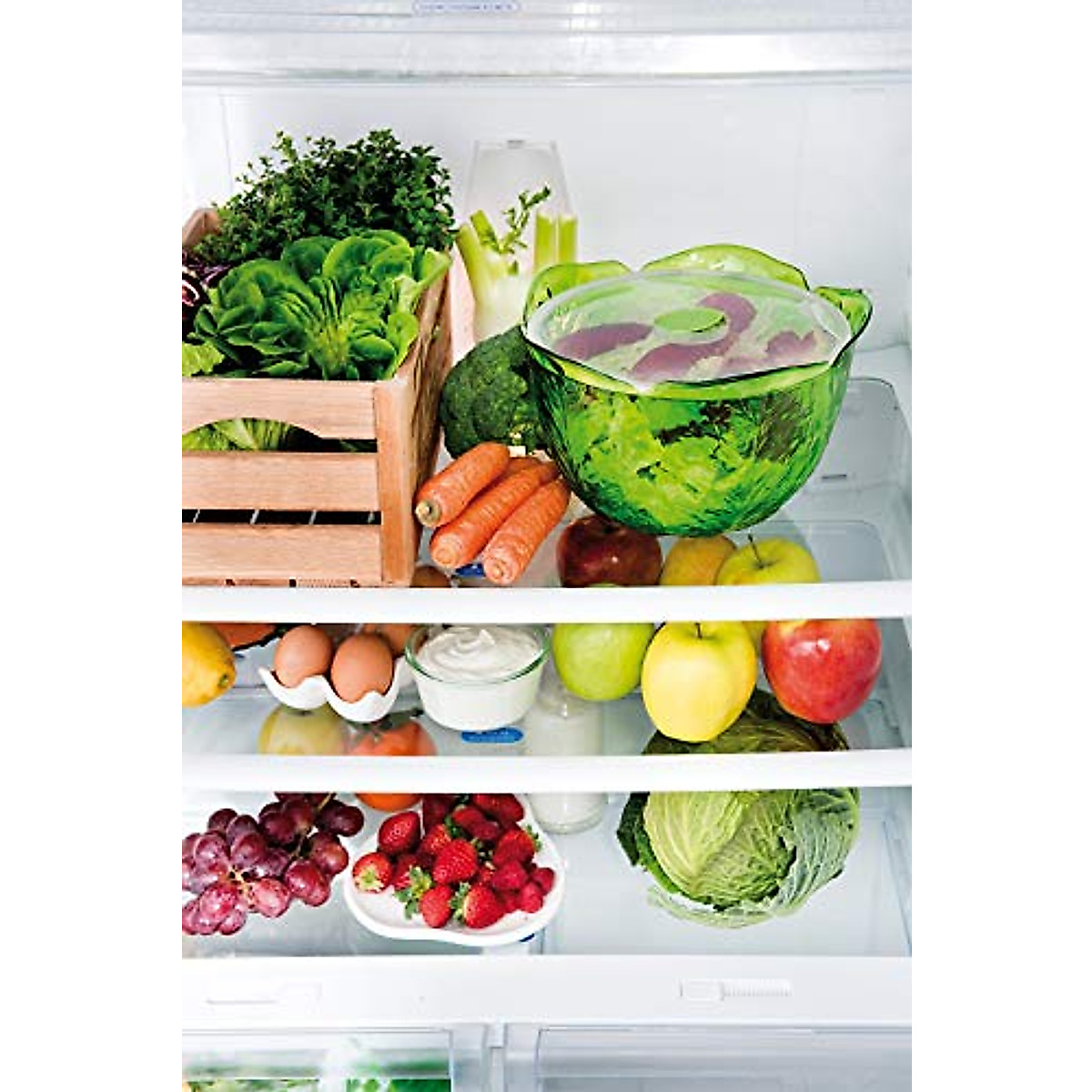 Plastic Snips Saver Salad Keeper 4 Liters, Green, One Size