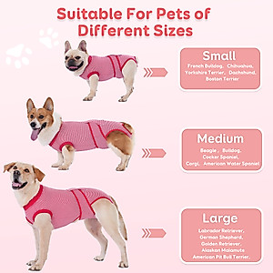 COHYVER Dog Cone, Professional Pet Recovery Shirt Dog Abdominal Wounds Bandages for Male Female, Pet Surgical Snugly Suit After Surgery, Anti-Licking Dog Onesies, Size L Red Stripes