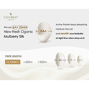 YANIBEST Silk Pillowcase for Hair and Skin 22 Momme 600 Thread Count 100% Mulberry Silk Bed Pillowcase with Hidden Zipper, 1 Pack Standard Size Pillow Case White