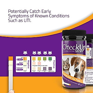CheckUp UTI Urine Testing Strips for Cats and Dogs - Detection of pH, Nitrite and Leukocytes x 50