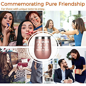 BeBeiZi 12 oz Stainless Steel Wine Tumbler, I'd ShankAB For You Right In The Kidney, Vacuum Insulated Wine Tumbler with Straw and Lid, Gift for Women Wife Birthday Mom, Wife, Sister, Daughter