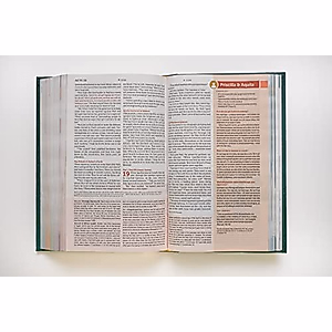 NLT Student Life Application Study Bible, Filament Enabled (Hardcover, Red Letter)
