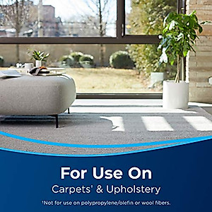 BISSELL Pet Pretreat + Sanitize Stain, 2 pack, 11299, 22 Fluid Ounces (Packaging may vary)