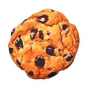 Doggijuana | Refillable Catnip Dog Toy | Naturally Calming | Catnip Grown in The USA (Cookie)