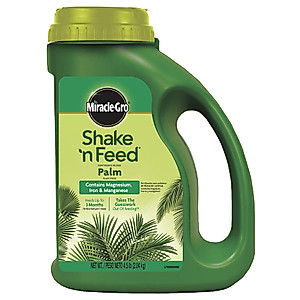 Miracle-Gro Shake 'n Feed Continuous Release Palm Plant Food, 4.5-Pound (Slow Release Plant Fertilizer)