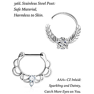 Ylqjksk 12PCS 16G Surgical Steel Piercing Jewelry for Women Men, Includes Septum, Helix, Daith, Rook, Tragus, Retainer, Silver Tone