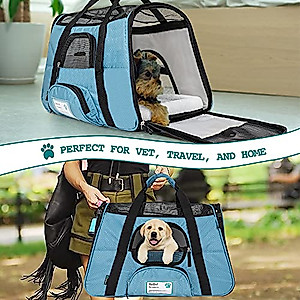 PetAmi Premium Airline Approved Soft-Sided Pet Travel Carrier | Ideal for Small - Medium Sized Cats, Dogs, and Pets | Ventilated, Comfortable Design with Safety Features (Large, Baby Blue)
