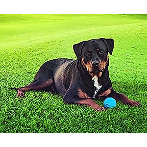 Pet Qwerks Talking Babble Ball - Interactive Chew Dog Toy - Large