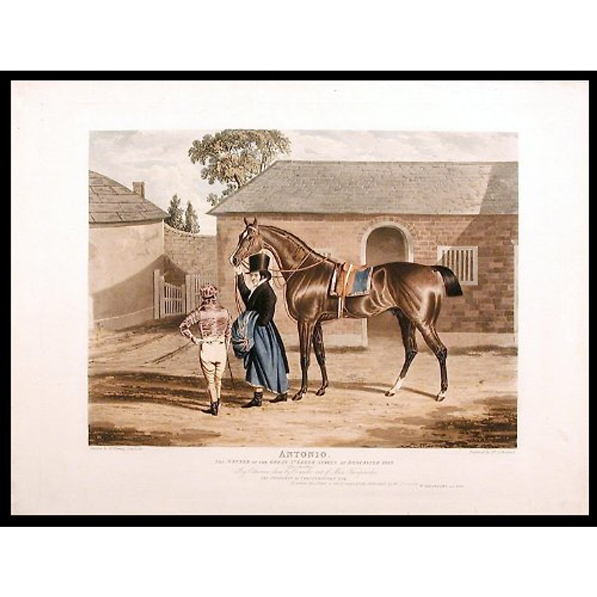 Antonio, the Winner of the Great St. Leger Stakes at Doncaster, 1819, (Fifty Subscribers.) By Octavian, dam by Evander, out of Miss Gunpowder. The Property of Thos. Ferguson, Esq. To whom this Print is most respectfully dedicated by the Publishers