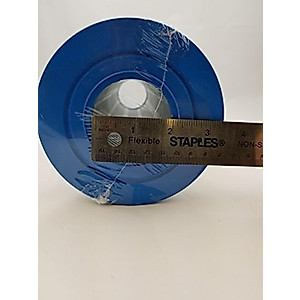 Sundance Spas 50ft Filter (373045S)