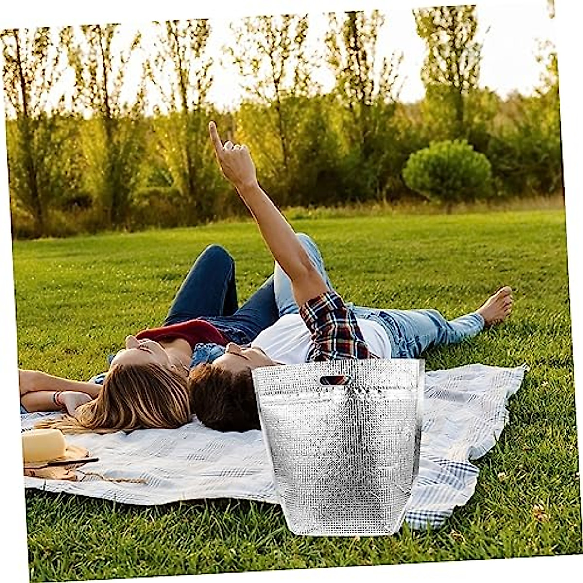 ULTECHNOVO Food Bag 12 Pcs Self-sealing Thermal Bag Organizer Tote Bag Zippered Tote Food Insulation Pouch Thermal Box Liners Heat Insulated Bag Baking Take-out Food Thermal Bag