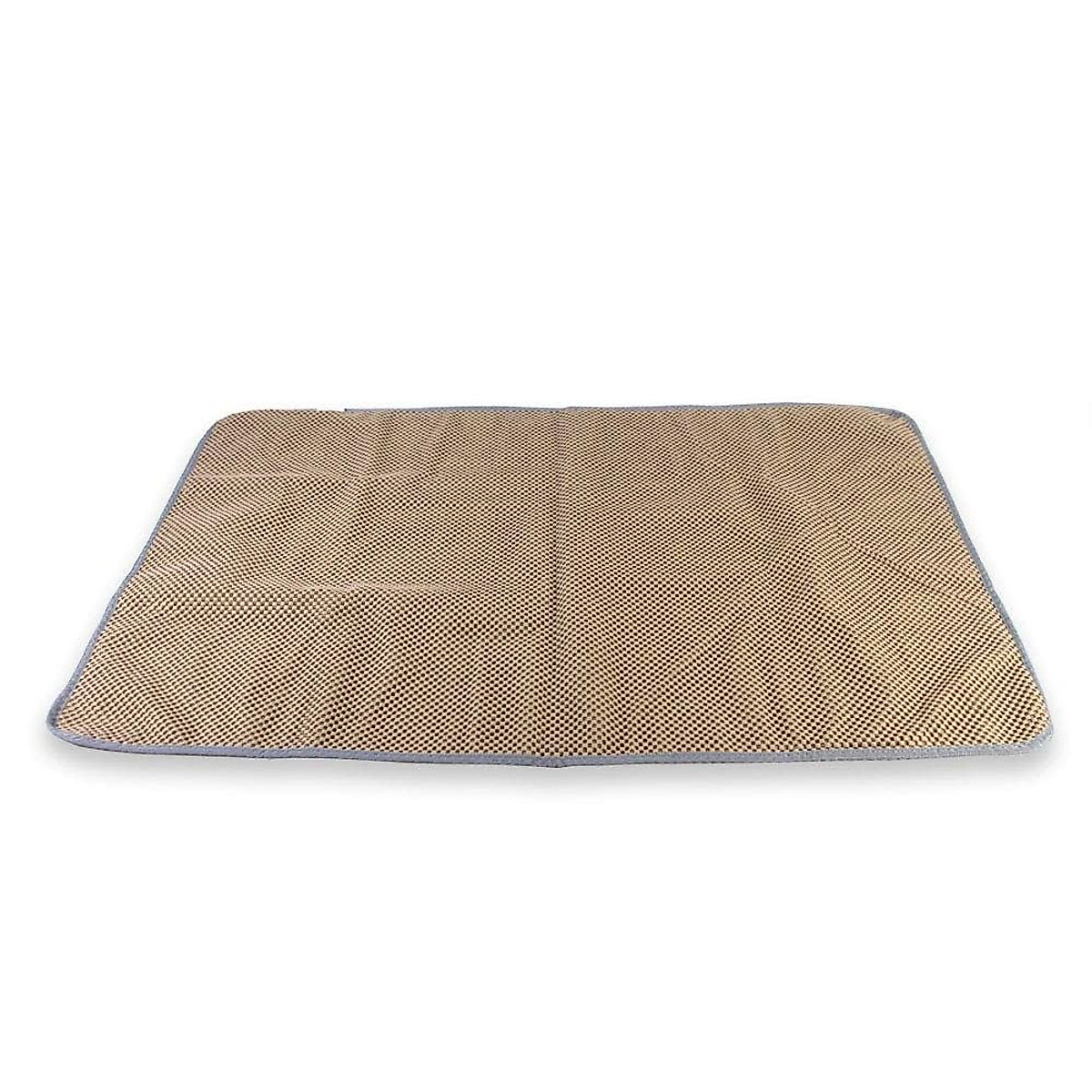 Pioneer Pet Reversible Litter Mat, 36" x 24"