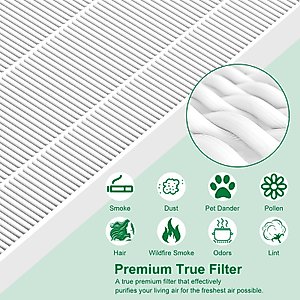 Laukowind 116130 Filter H Replacement for Winix 5500-2 Air Purifier and Models AM80-2, Includes 1 Pack Ture Filters and 1 Pack Activated Carbon Pre-filters (1 Sets)
