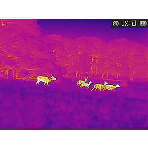 AGM Global Vision thermal monocular Taipan TM19-384 Thermal Imaging Monocular for hunting 384x288 (50 Hz),Monocular for adults high powered thermal imager heat vision Infrared monocular thermal vision