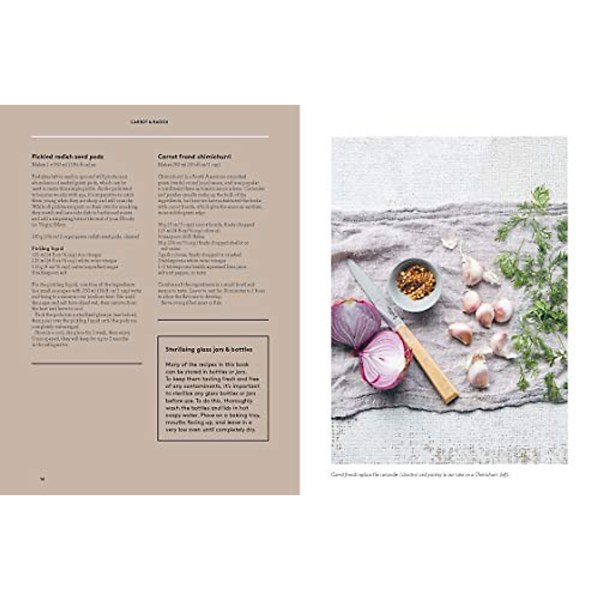 Root to Bloom: A Modern Guide to Whole Plant Use