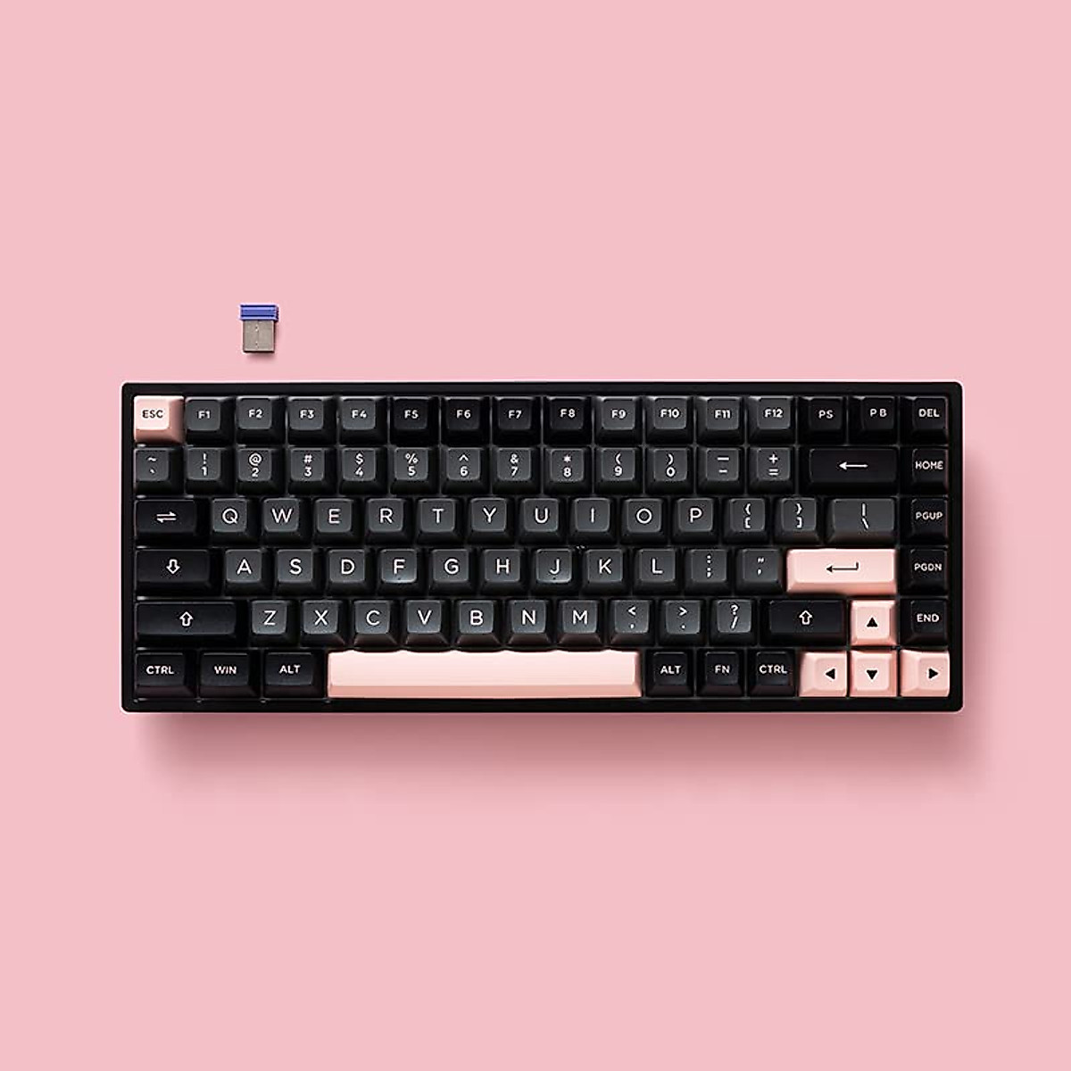Akko Black&Pink 75% Hot-swappable Mechanical Gaming Keyboard with PBT Keycaps, 2.4G Wireless/Bluetooth/Wired 3084B Plus 84-Key RGB Keyboard, Compatible with Mac & Win Jelly Purple Switches
