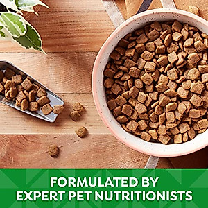 Nature’s Recipe Large Breed Grain Free Chicken, Sweet Potato & Pumpkin Recipe, Dry Dog Food, 24 Pounds (Packaging May Vary)