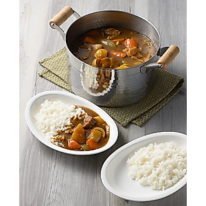 Yoshikawa YJ3302 Double-Handed Pot, 9.4 inches (24 cm), Wooden Handle Hammered Pot, Induction Compatible,