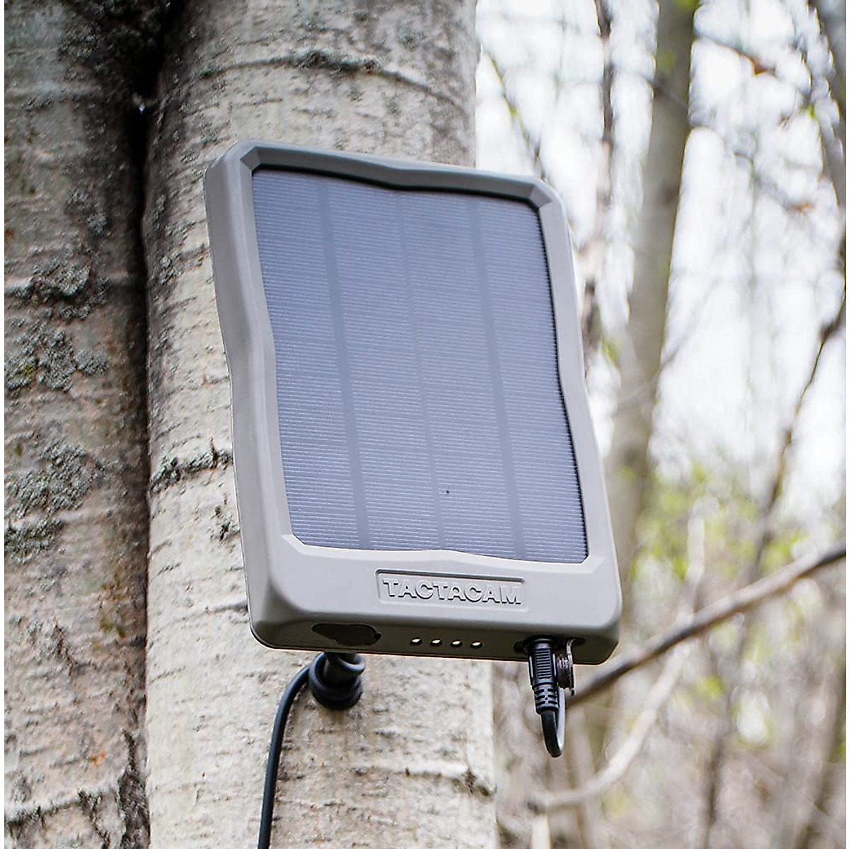 TACTACAM Reveal External Solar Panel for All Reveal Cellular Trail Cameras X Pro, X 2.0, SK, XB, Gen 1 (Solar Panel)