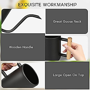 Watering Can Indoor Plants, 35 oz/1000 ml Metal Stainless Steel Watering Can Pot with Long Spout for Indoor House Plants Bonsai Outdoor Garden Flower Decorative (Black)
