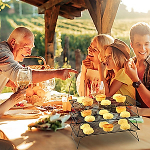 Shellkingdom Cooling Racks, Stainless Steel Non-Stick Baking Racks And Oven Safe Wire Cool Racks for Cookies, Cakes and Baking,3-Tier,Foldable