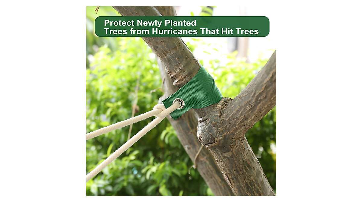 Jevrench 12 PCS Tree Support Straps for Healthy Tree Growth