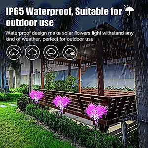 Solar Lights Outdoor Decorative 4PK, Solar Flowers Pink Rime Flower Design, Solar Powered Flowers Light Dusk to Dawn, Solar Flowers Lights Outdoor Garden Waterproof IP65 for Garden Yard Decorations