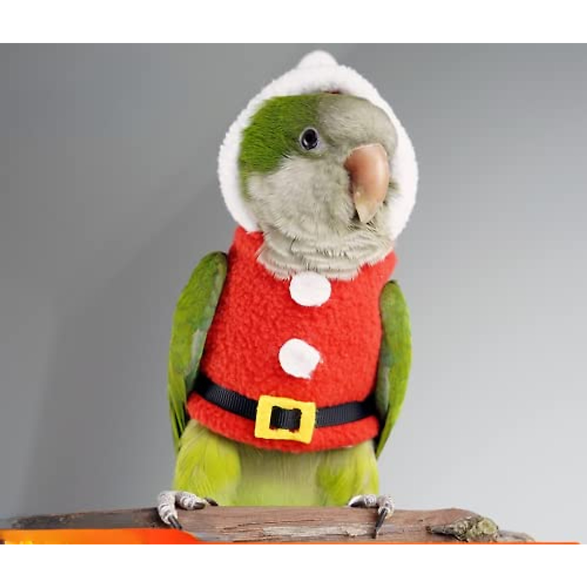 Bird Clothes Birds Flight Suit, Christmas Hoodie for Parrots Cockatiel Sun Conure Christmas Party Cosplay Photo Prop Bird Shirt Small Animals Apparel (Without Diaper,Green Quaker)