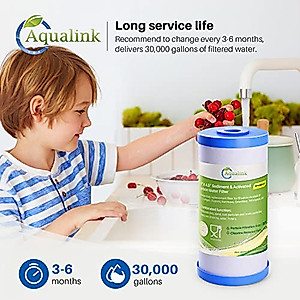 AQUALINK 5 Micron 10" x 4.5" Whole House Sediment Activated Carbon Water Filter Compatible with GE FXHTC, GXWH40L, GXWH35F, GNWH38S Universal Water Filter System 2pack.