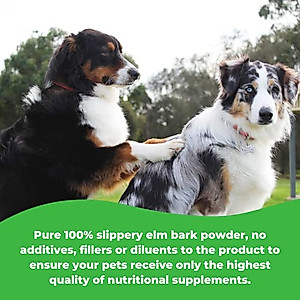 Wonder Labs Slippery Elm Bark Powder, Supports and Promotes a Healthier Digestive Tract for Your Pet
