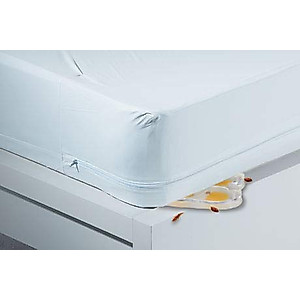 BuggyBeds® Bed Bug Glue Traps, Home, 12 Pack