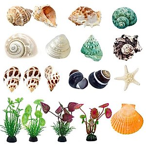 Hermit Crab Shells Small to Medium 1/2-3/4 Inches Assorted Opening Sizes Natural Turbo Shells No Painted Snail Seashells 11pcs with Artificial Plants Starfish and Decorations