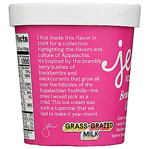 JENIS SPLENDID ICE CREAMS Brambleberry Crisp Ice Cream, 1 PT