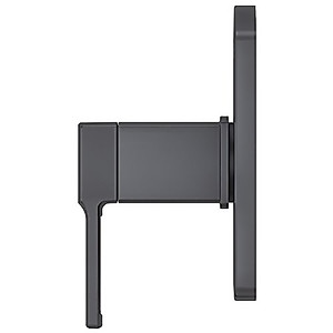 Pfister R89-1DAB R891DAB Valve Only Trim, Matte Black