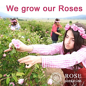 Rose Sensation Shampoo, 10 oz - Natural Moisturizing Hair Care for Strength & Growth