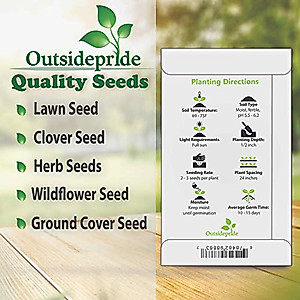 Outsidepride Helianthus Annuus Joker Sunflower Garden Cut Flower & Border Plant - 200 Seeds