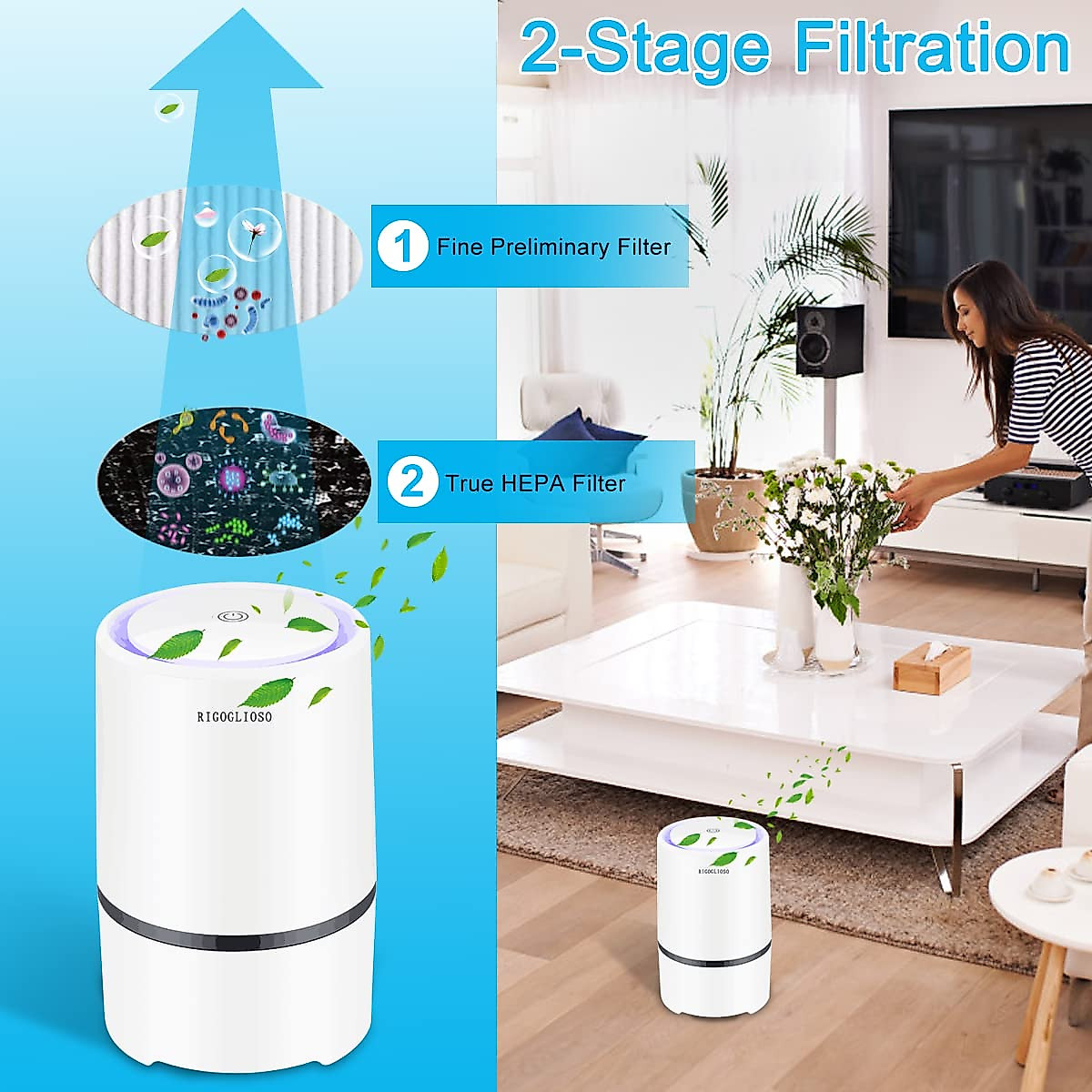 RIGOGLIOSO Air Purifier for Home with True HEPA Filters,Low Noise Portable Air Purifiers with Night Light,Desktop USB Air Cleaner