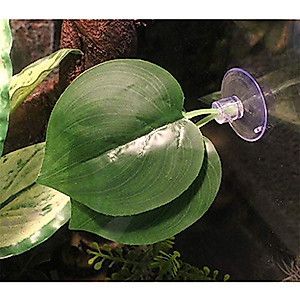 Mllepjdh Betta Fish Hammock Plastics Betta Leaf Pad Aquarium Plant Leaves Accessories for Playing Fish Tanks Hideout Decoration Pet Rainbow Ball Foam Pets Dog Training Training Ball Dog Treat