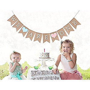Twins Banner for 1st Birthday - We Are One Banner, Twins Birthday Party Banner, Twins Frist Birthday Decor, Girls Boys First Birthday Decoration,Photo Prop