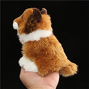 Whrigud Cute Shetland Dog Stuffed Animal Plush Pillow Toy 7'' Kawaii Shetland Sheepdog Plush Stuffed Border Collie Puppy Pillow Plushies Toys for Kids Gifts Home Decor