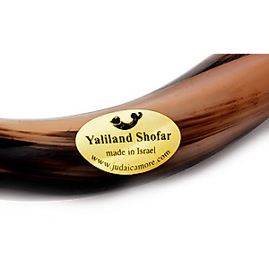 Yaliland Shofar Horn Musical Instrument - Authentic Kosher Kudu Ram Horns from Israel - Includes Bag, Book Guide, 3 Brushes - Ideal for Religious Ceremonies - 35"-39", Fully Polished