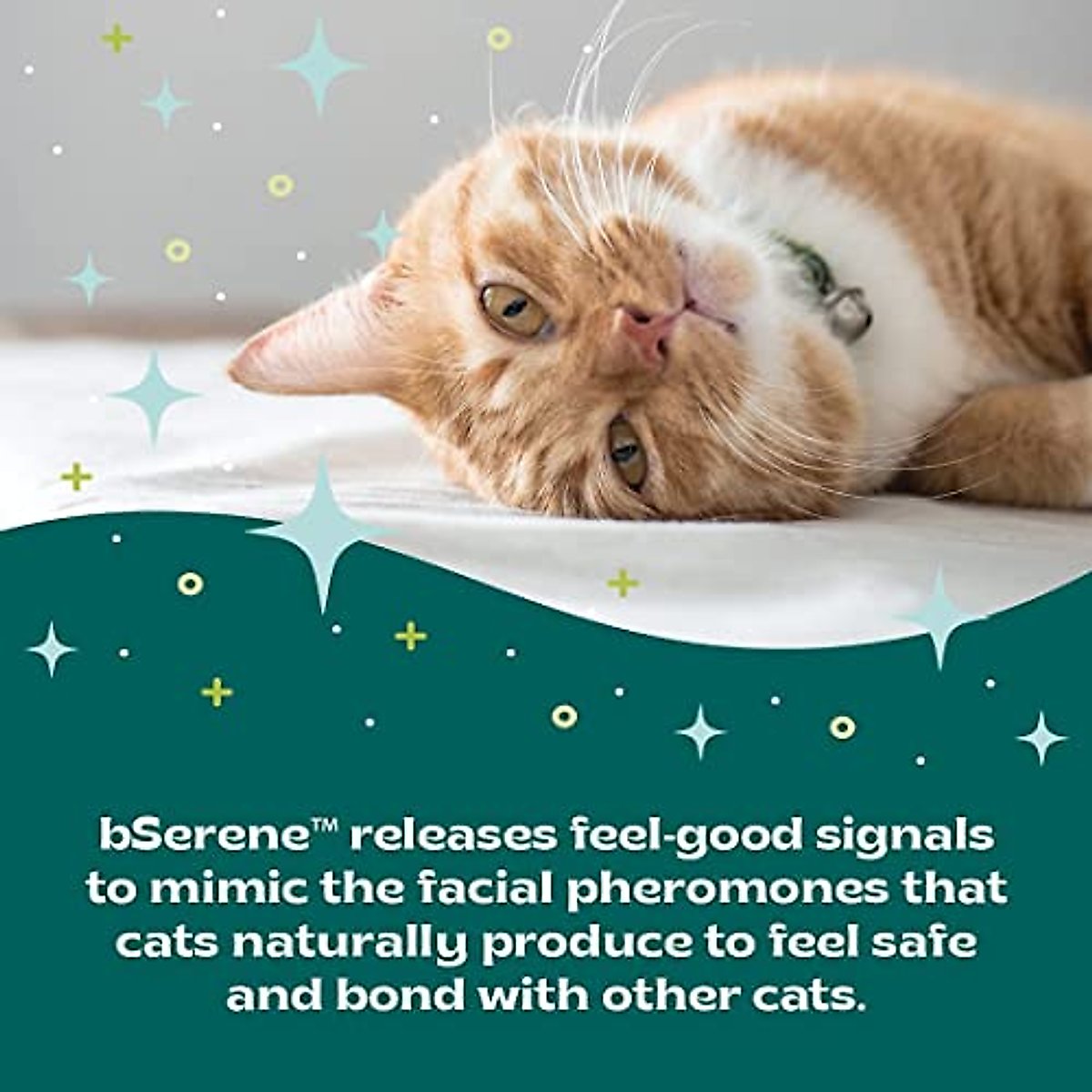 bSerene Pheromone Calming Solution for Cats|45-Day Starter Kit: Plug-in Diffuser + Refill |Helps Reduce Hiding, Scratching, Stress, Anxiety | for Single/Multicat Homes|45 Days of Constant Comfort