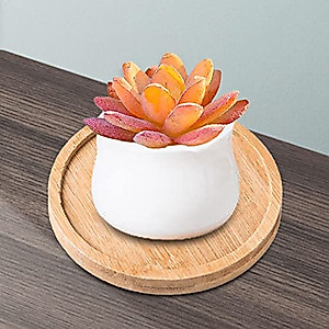 Leefasy 2Pieces Wooden Vanity Tray, Soap Dispenser Tray Pedestal Stand Countertop Organizer Holder Soap Holder Bathroom Tray, for Kitchen Sink Bathroom Home, Round and Square