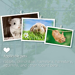 Hamiledyi Rat Lava Block Chew Toy,Chinchilla Bites Calcium Cubes Stone for Grinding Teeth,Hamsters Supplies,Mineral Pumice Chewing Toys for Small Animal Gerbil Guinea Pig Mice Mouse 8Pcs Blue