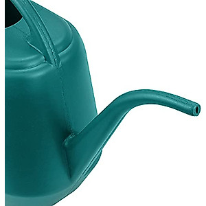 Fasmov Plastic Watering Can, 1-Gallon, Green